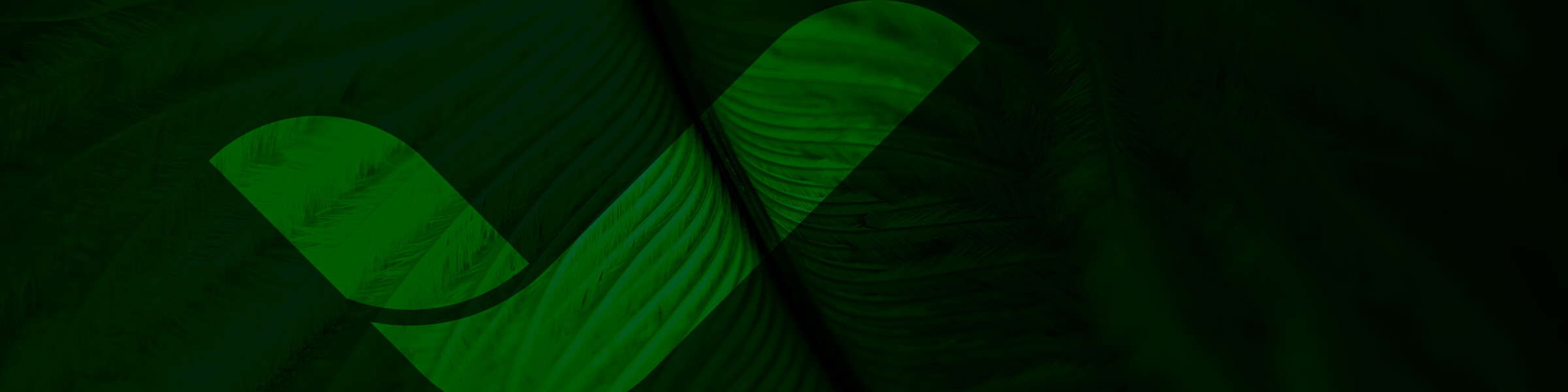 JCAP -Treasury & Investment Specialists - Jersey, Channel Islands